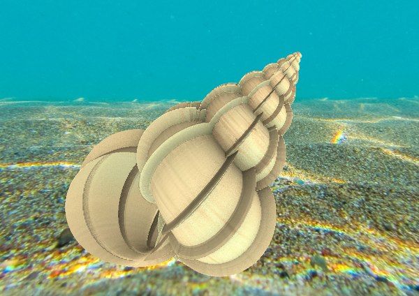 Wentletrap seashell 3D model - TurboSquid 1316549