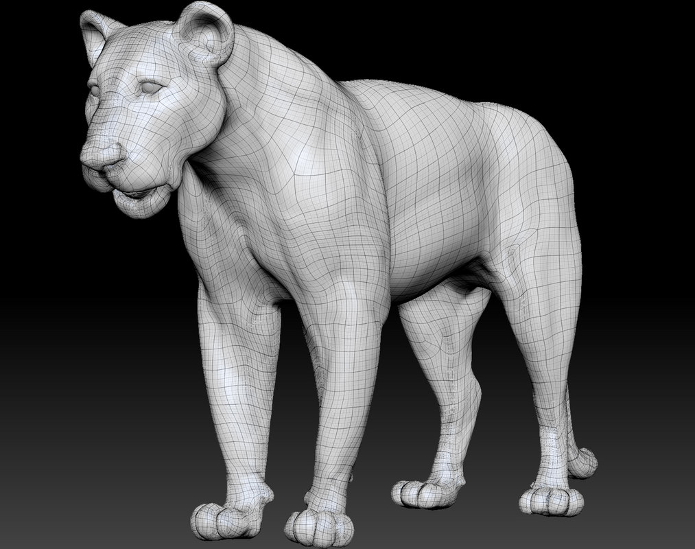 3D lion poses model - TurboSquid 1316723