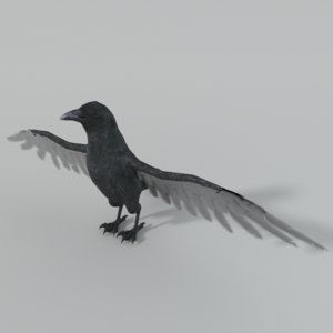 Crow 3D Models for Download | TurboSquid