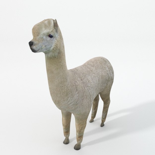 3D llama model - TurboSquid 1316793