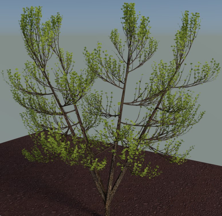 Tree 3D model - TurboSquid 1317271