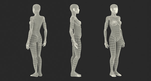 Female muscular anatomy rigged model - TurboSquid 1317306