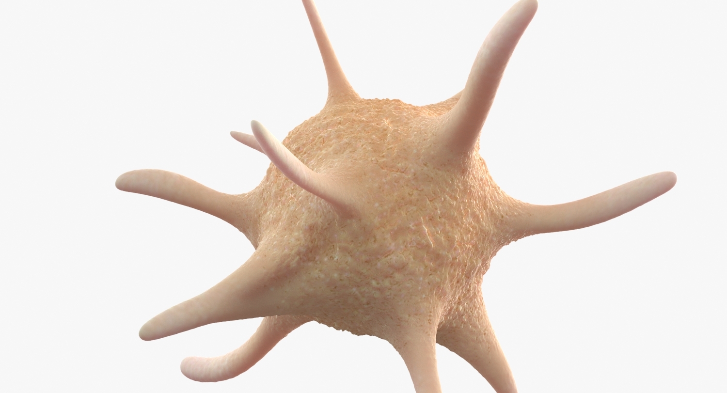 3D model blood platelet - TurboSquid 1317862