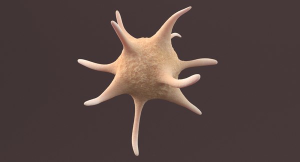 3D model blood platelet - TurboSquid 1317862