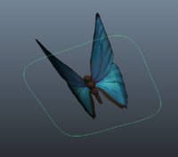 Animated Butterfly 3D Models for Download | TurboSquid