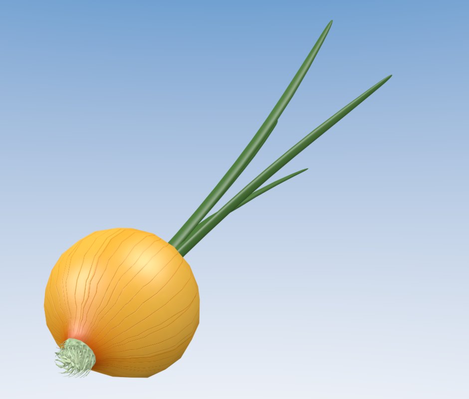 3D onion model - TurboSquid 1318291