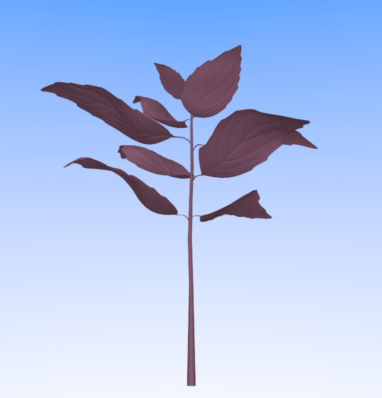 3D basil model - TurboSquid 1318299