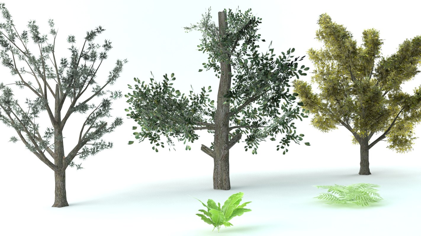 Set vegetation 3D model - TurboSquid 1318732