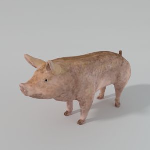 Pig Blender Models for Download | TurboSquid