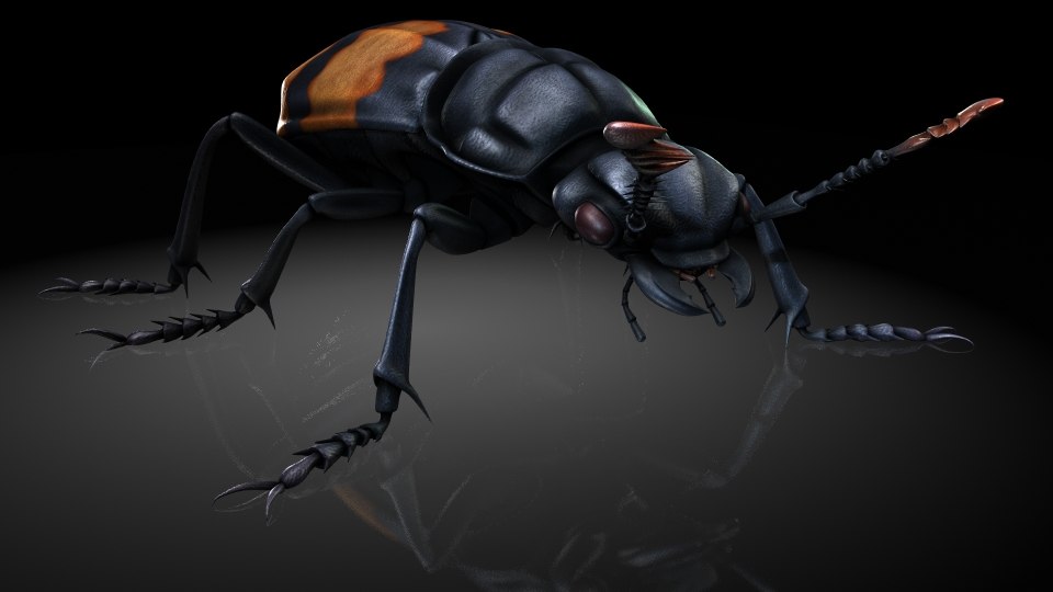 3D burying beetles hammer - TurboSquid 1319718
