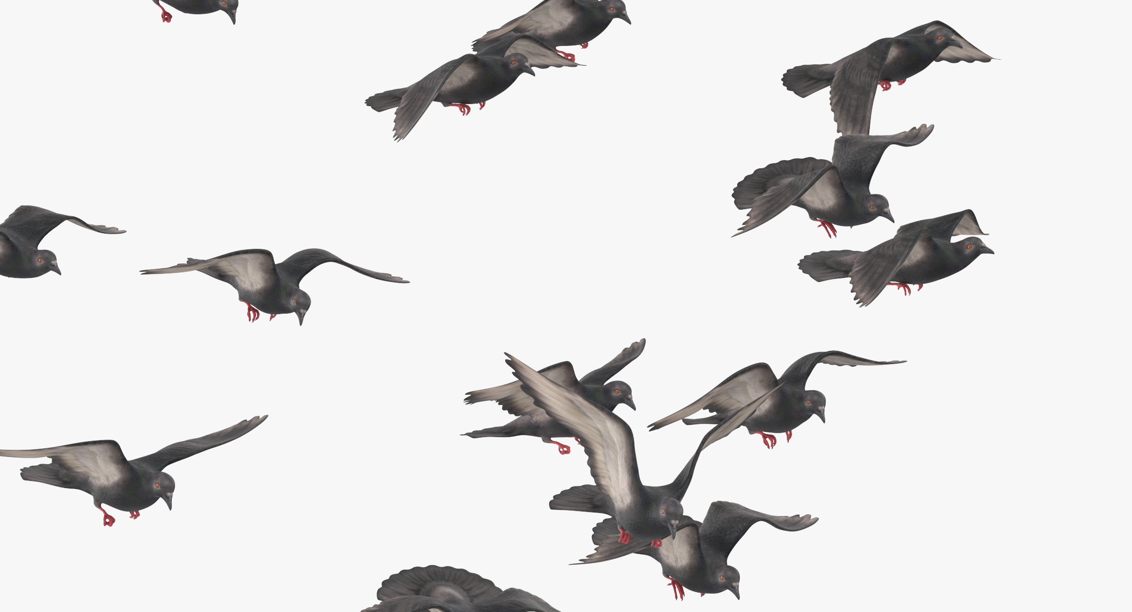 Flocking pigeons flying large 3D model - TurboSquid 1320331
