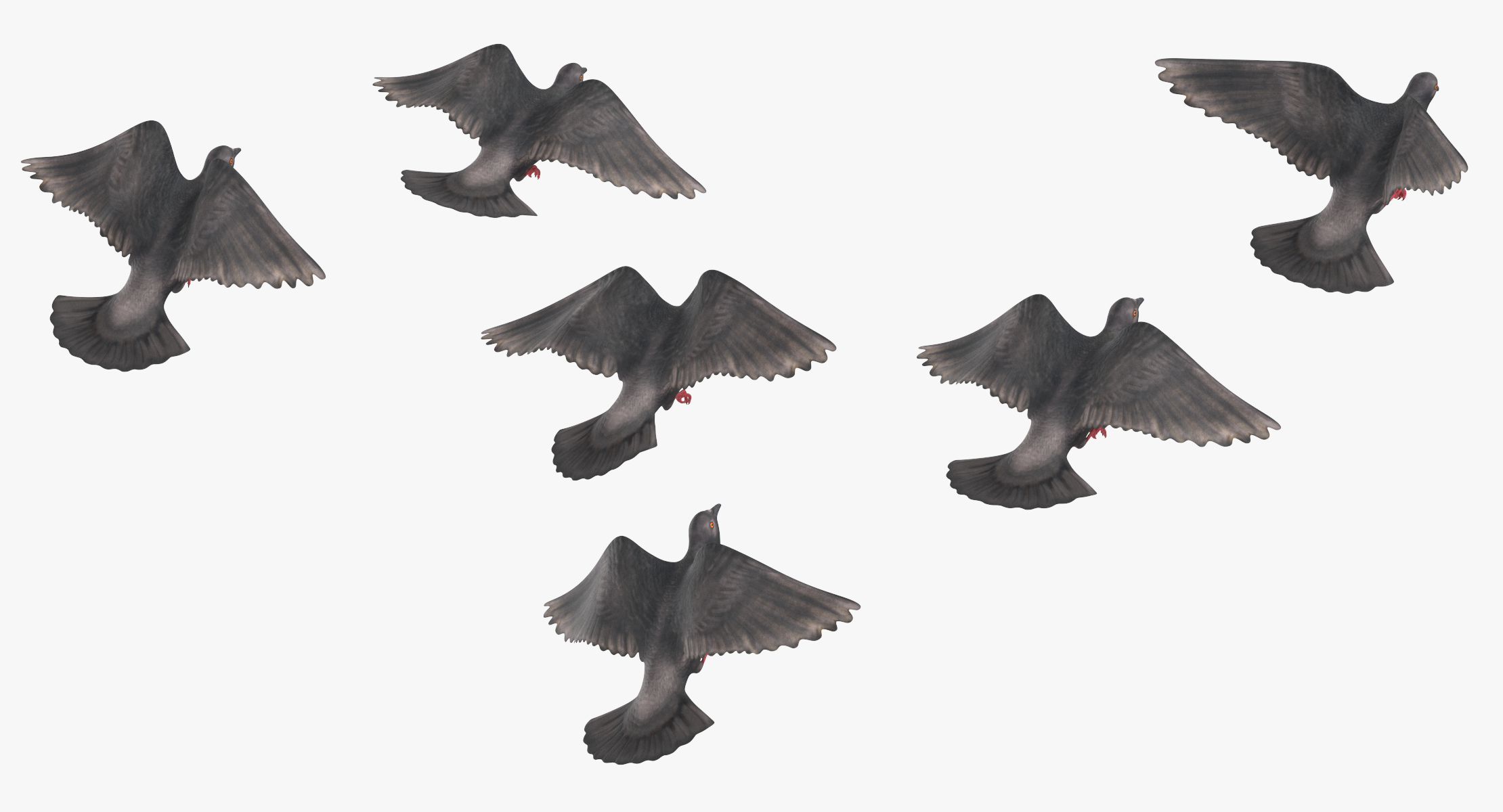 Flocking pigeons flying large 3D model - TurboSquid 1320331