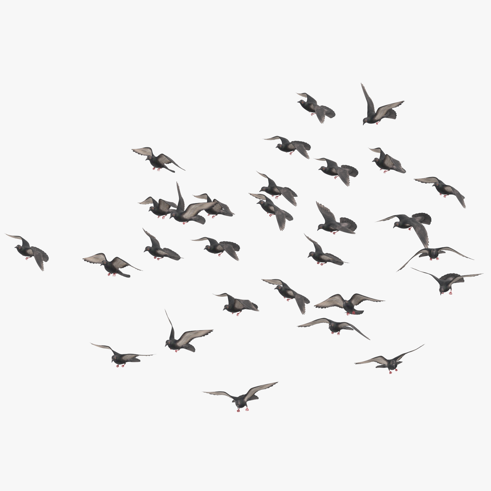 3D model flock flying medium 03 - TurboSquid 1320344