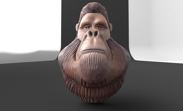 3D Monkey Models | TurboSquid