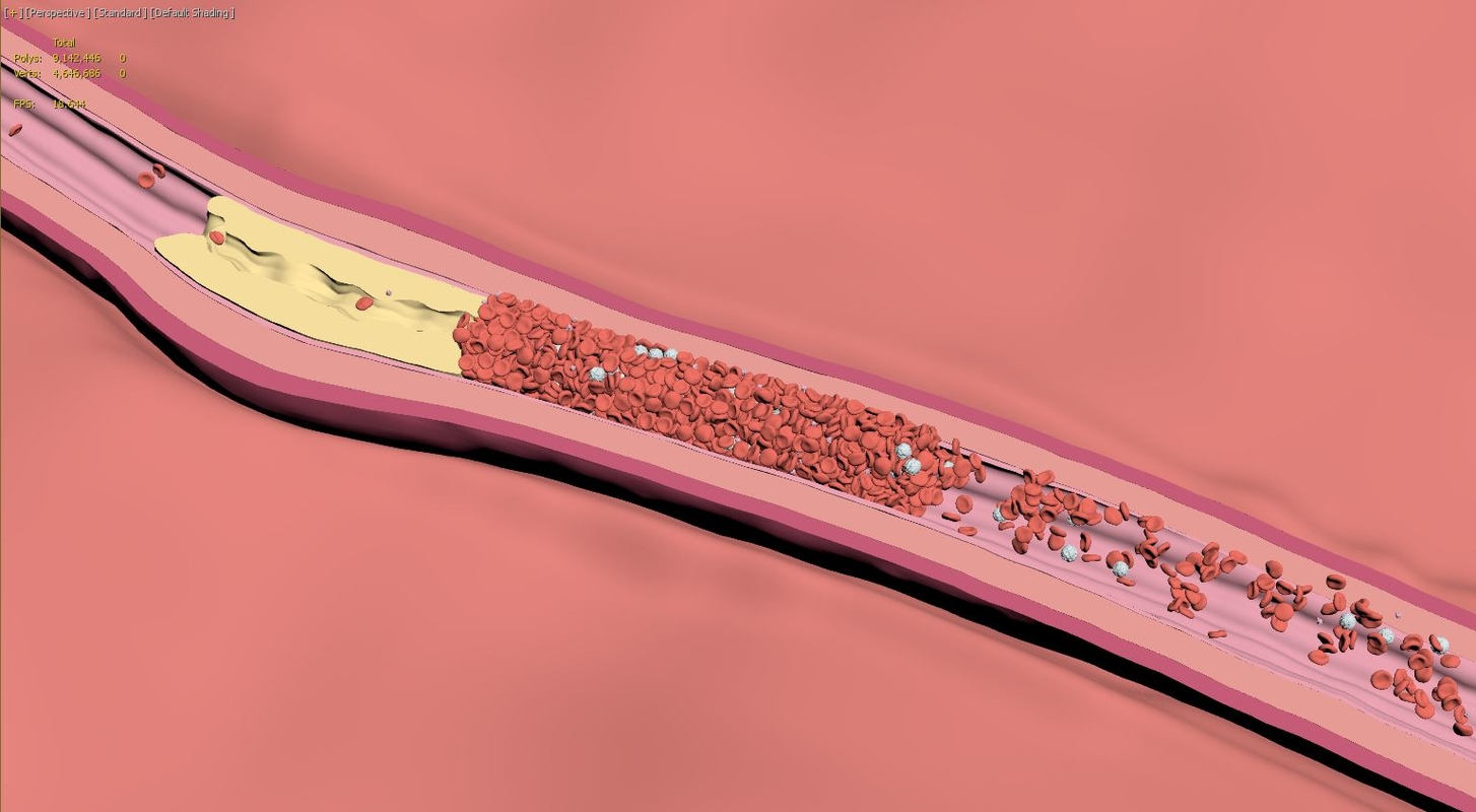 3D bloodstream animation - TurboSquid 1321441