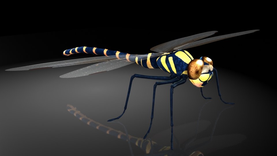 Dragonfly 3D model - TurboSquid 1322222