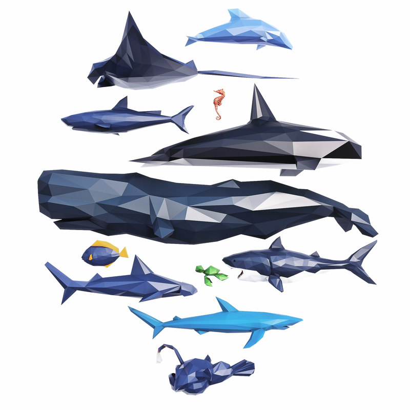 3D sea creatures - TurboSquid 1322601