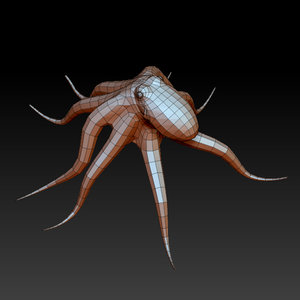 Blender Squid Models | TurboSquid