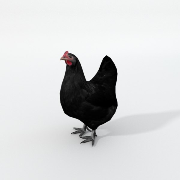 Blender Chicken Models | TurboSquid