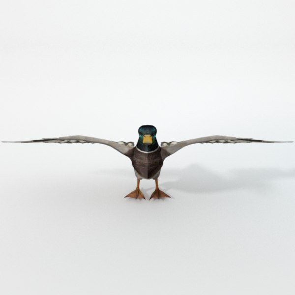 Blender Duck Models | TurboSquid