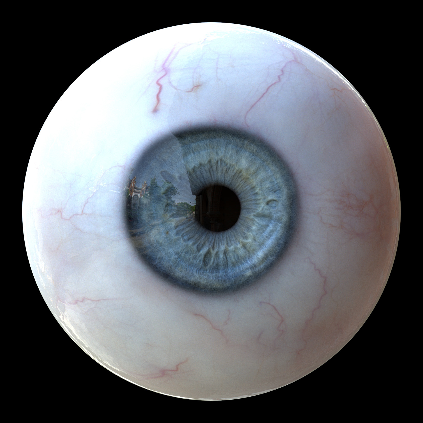 3D iris anatomy eye pupil model - TurboSquid 1324368
