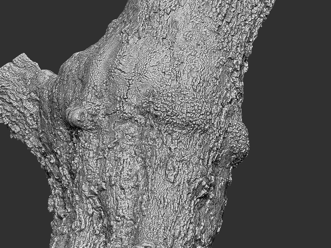 Scan ancient 3D model - TurboSquid 1324835