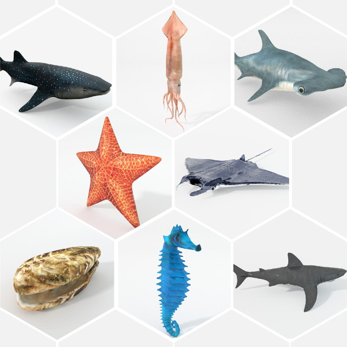 3D 16 marine animals model - TurboSquid 1325265