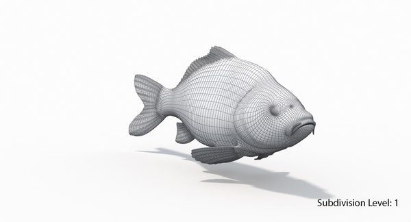 3D european carp animation - TurboSquid 1327226
