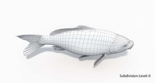 3D european carp animation - TurboSquid 1327226