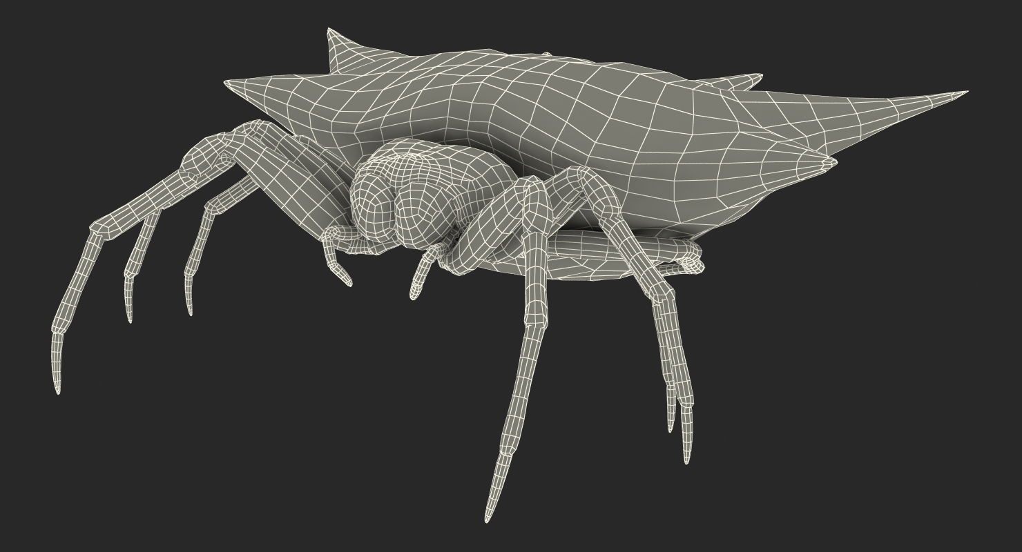 Spinnen-Sammlung 2 3D-Modell - TurboSquid 1327251