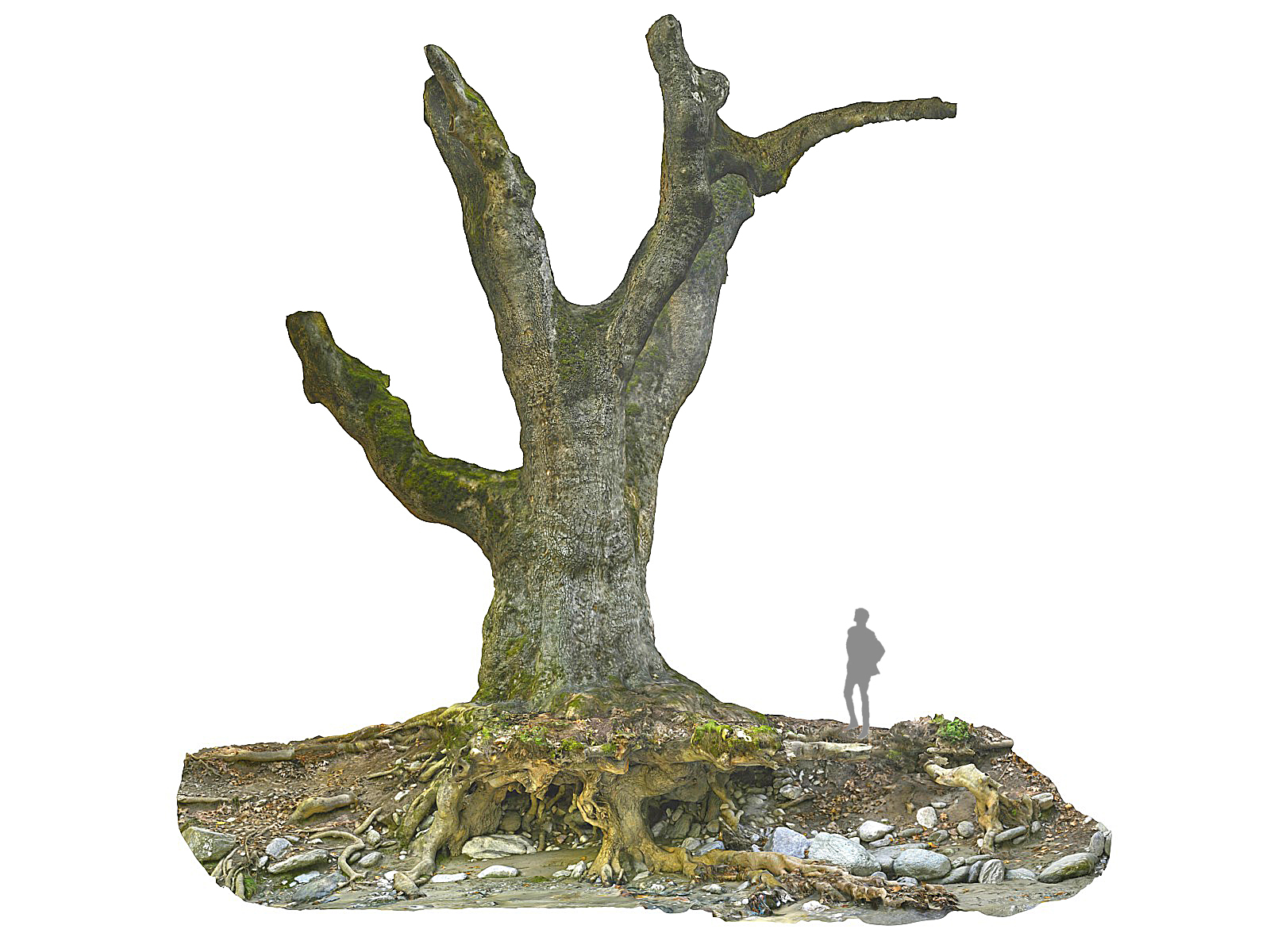 Scan ancient 3D model - TurboSquid 1327824