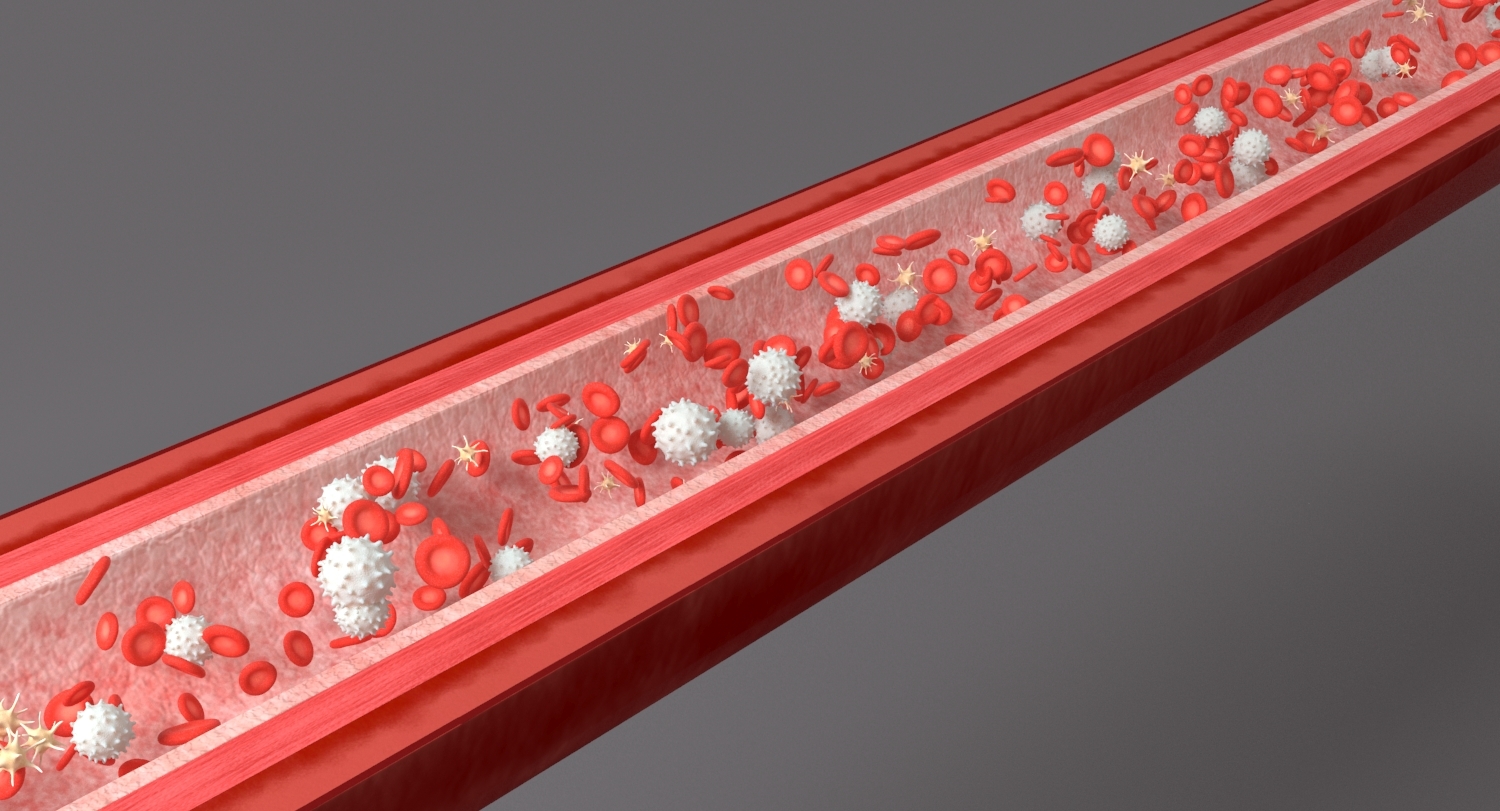 Bloodstream animation 3D - TurboSquid 1327962