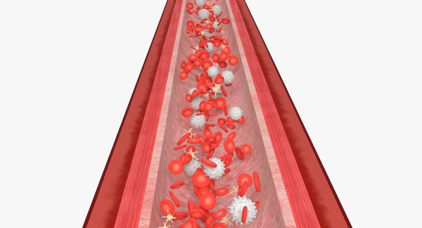 Bloodstream animation 3D - TurboSquid 1327962