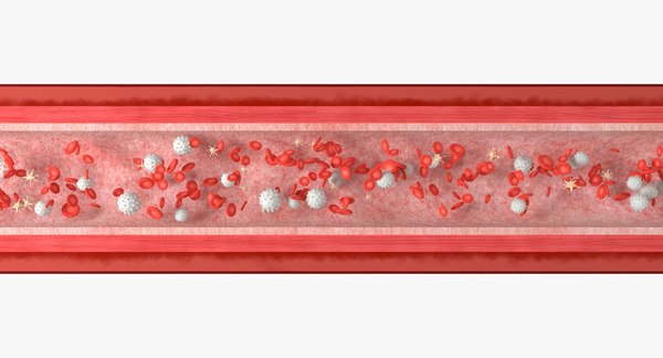 Bloodstream animation 3D - TurboSquid 1327962