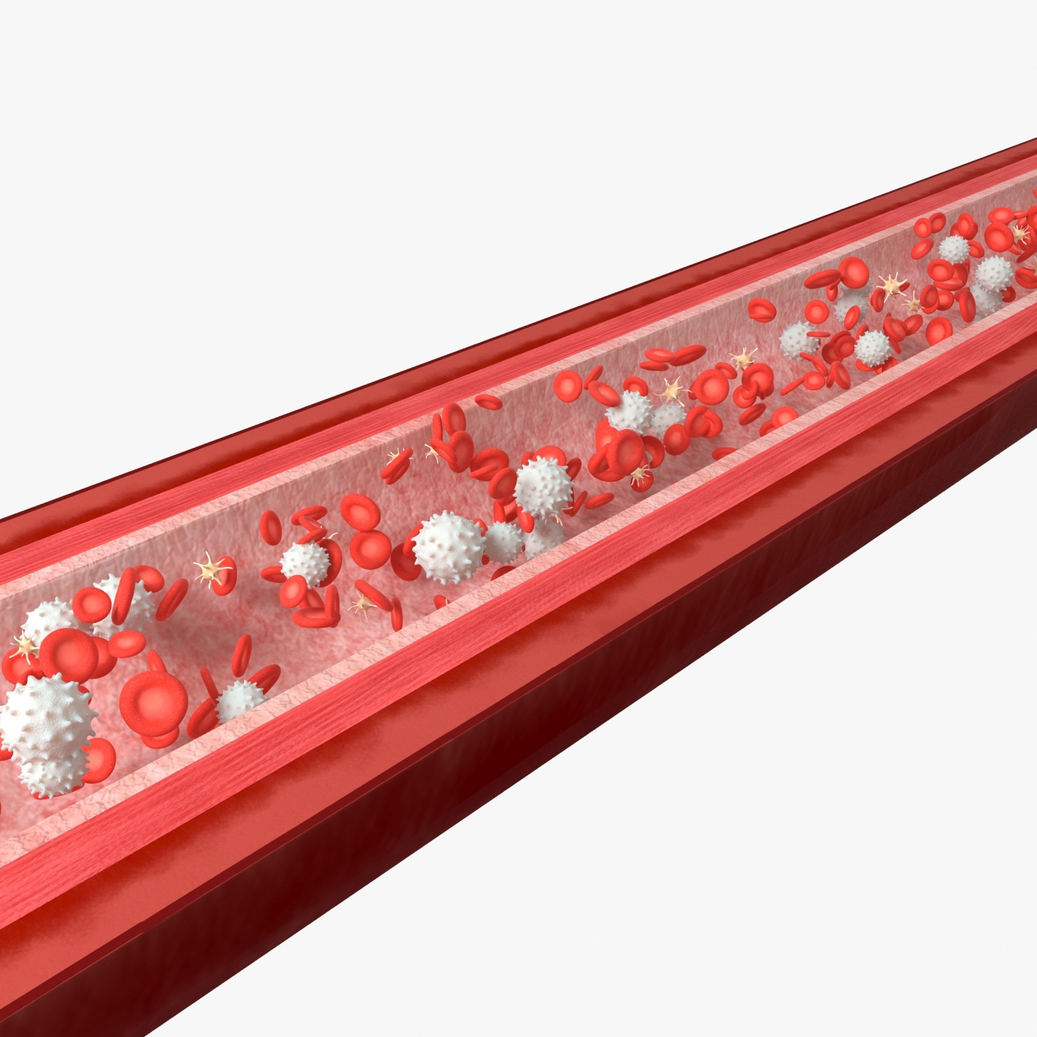 Bloodstream animation 3D - TurboSquid 1327962