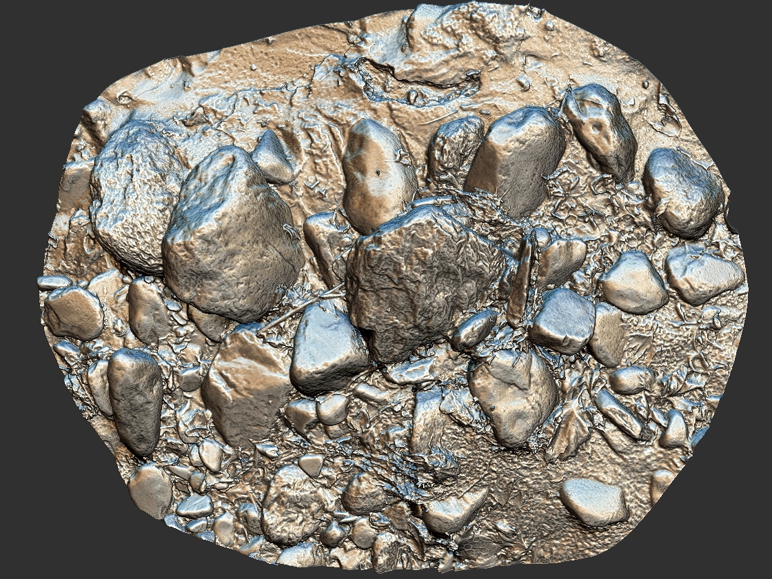 3D forest ground rock 16k model - TurboSquid 1328768