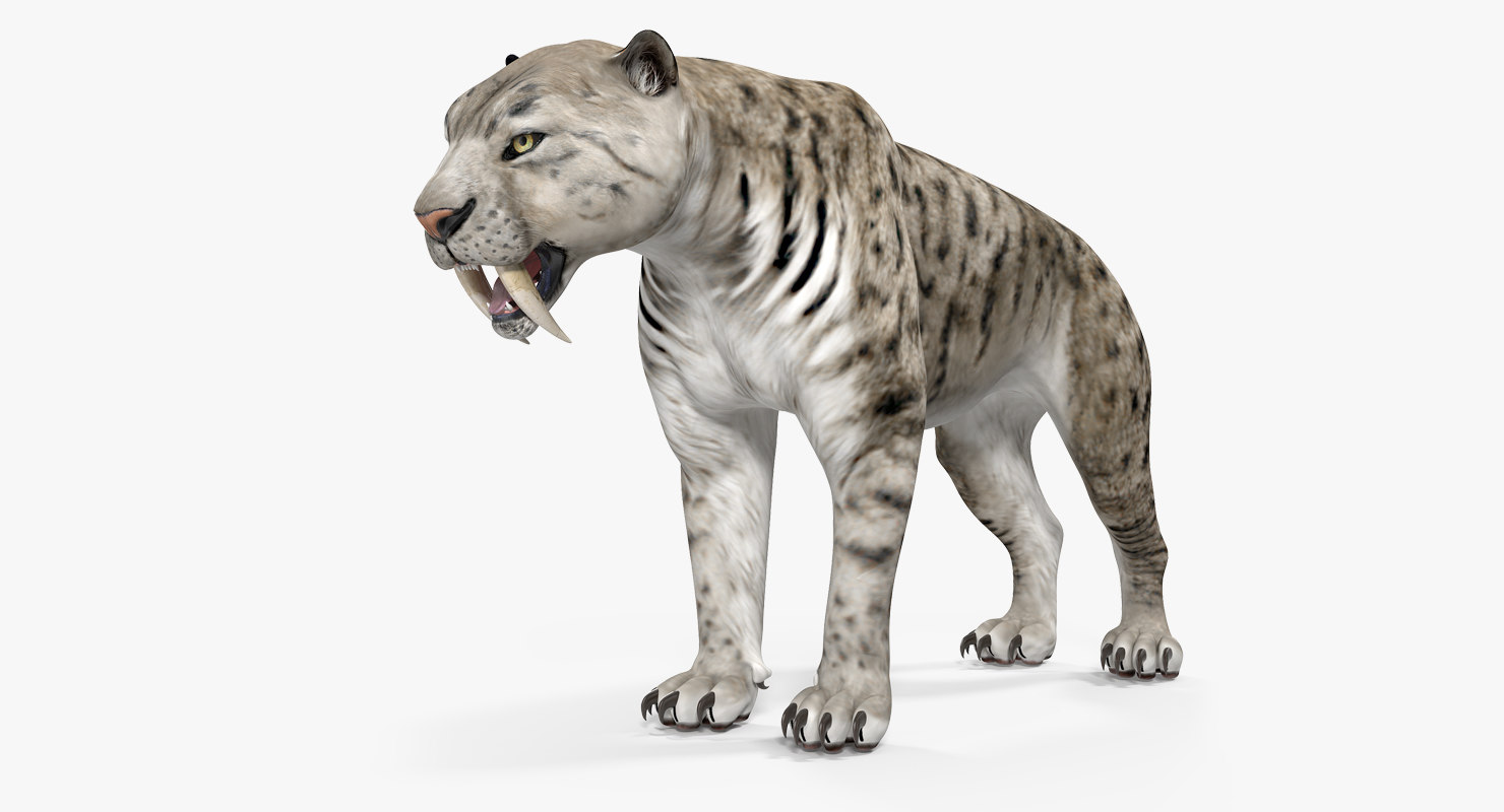 3D arctic saber tooth cat model - TurboSquid 1329408