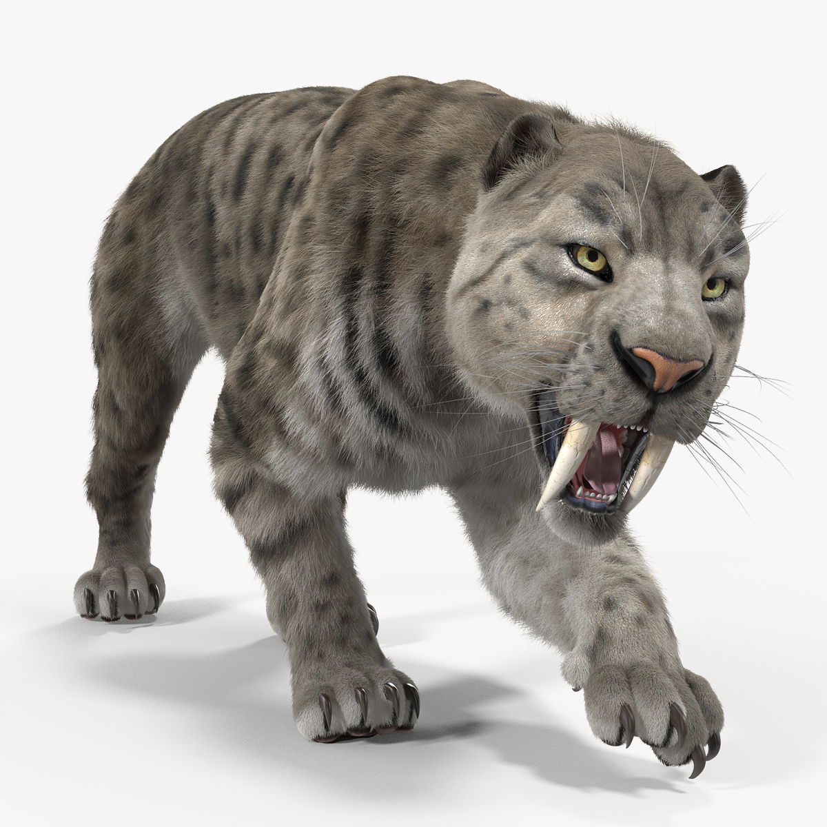 3D arctic saber tooth cat - TurboSquid 1329522