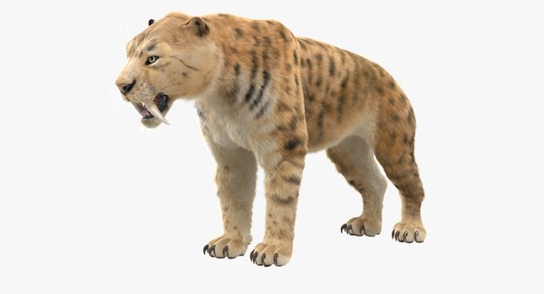 Saber tooth tiger rigged 3D model - TurboSquid 1329676