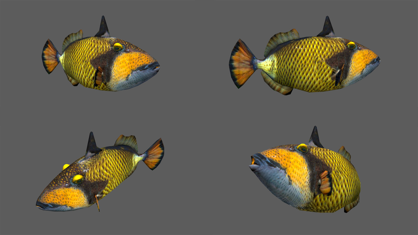 Fish 4 games 3D - TurboSquid 1329810
