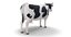 Cow modeled 3D - TurboSquid 1330783