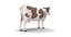 Cow modeled 3D - TurboSquid 1330783