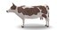 Cow modeled 3D - TurboSquid 1330783