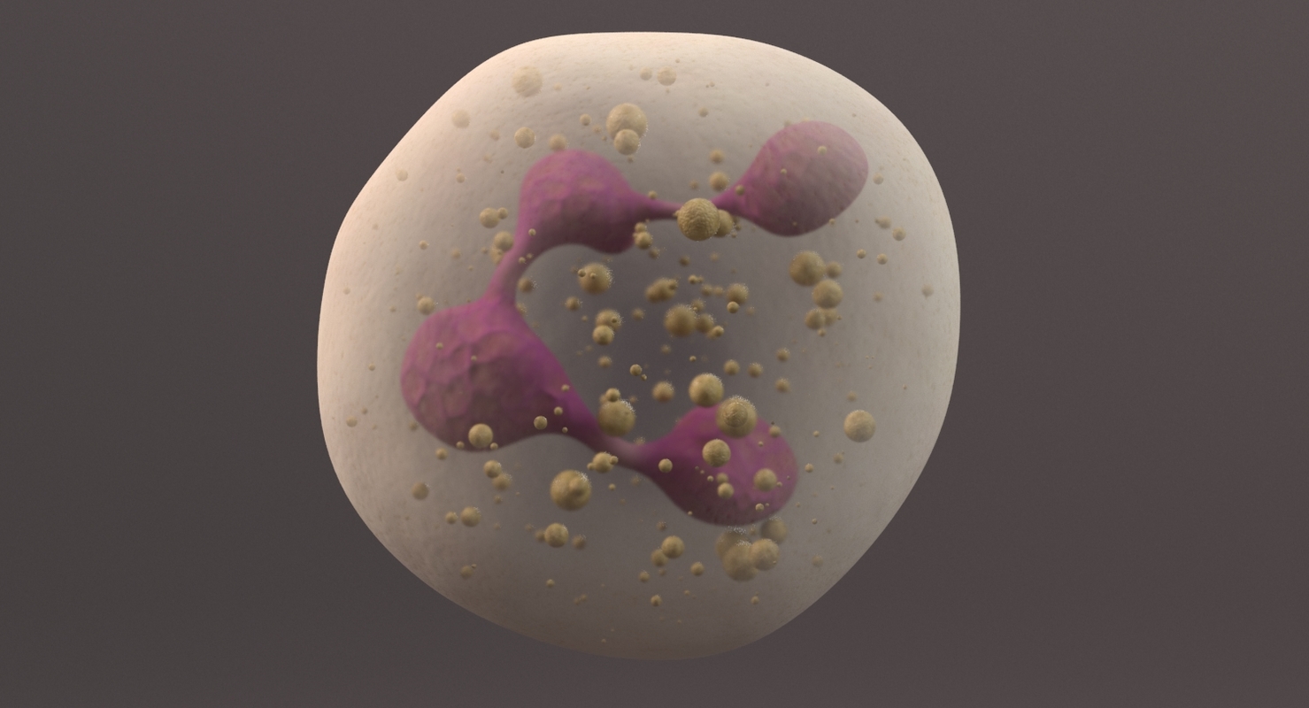 3D white blood cell pack - TurboSquid 1331609