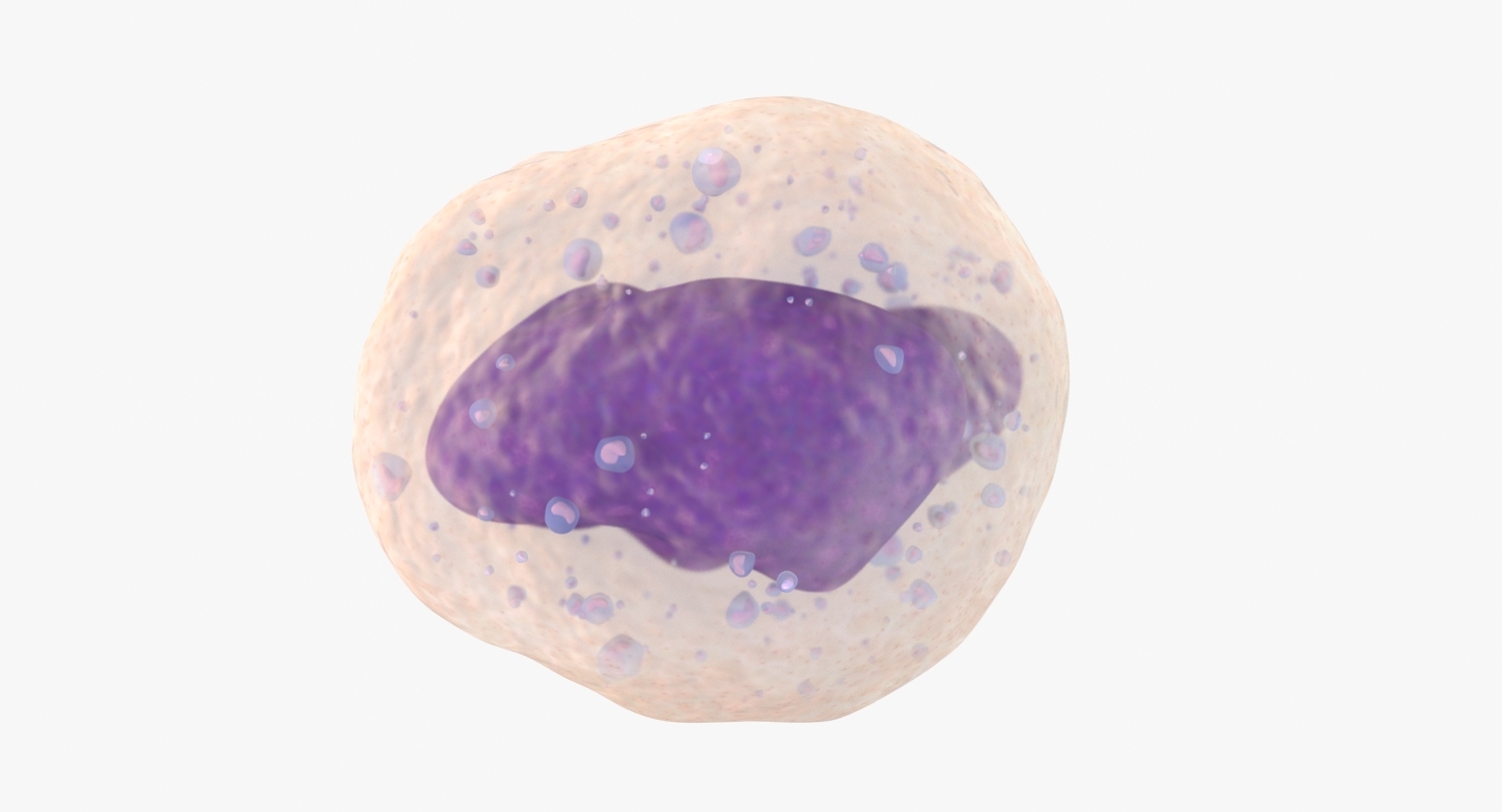 3D white blood cell pack - TurboSquid 1331609