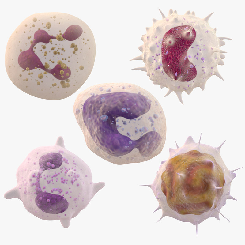 3D white blood cell pack - TurboSquid 1331609