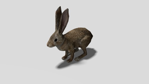 Rabbit Blender Models for Download | TurboSquid