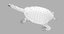 3D model snake necked turtle - TurboSquid 1331880