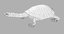 3D model snake necked turtle - TurboSquid 1331880