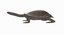 3D model snake necked turtle - TurboSquid 1331880